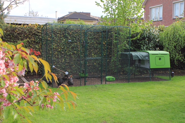 Walk In Chicken Run | Chicken Coops and Pet Chicken Accessories | Omlet