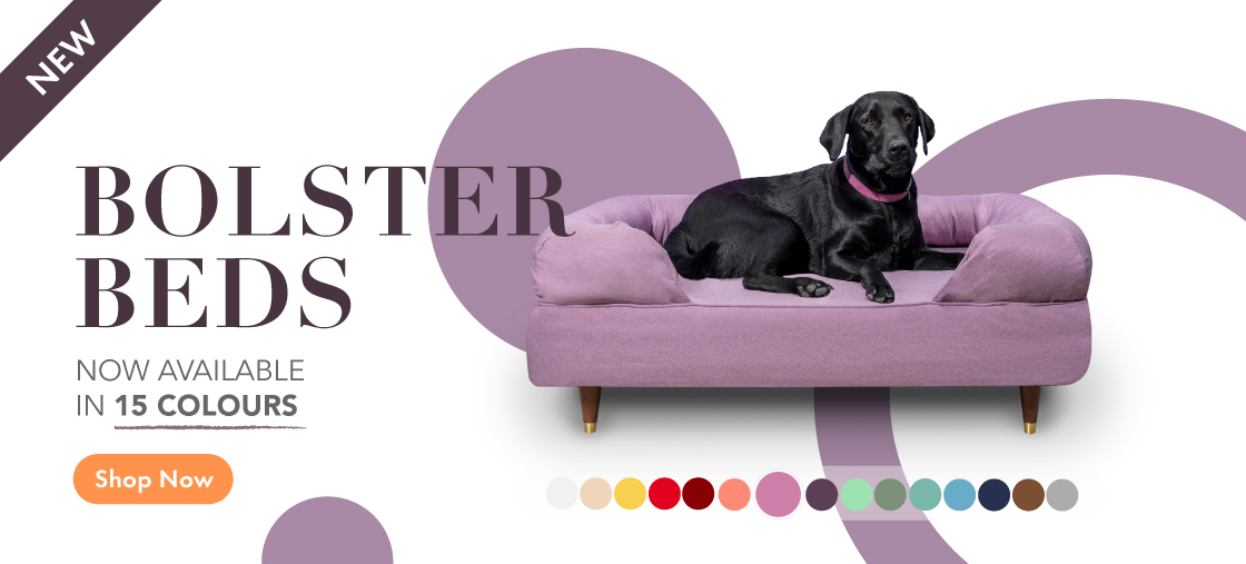 Beautifully Designed Pet Housing by Omlet