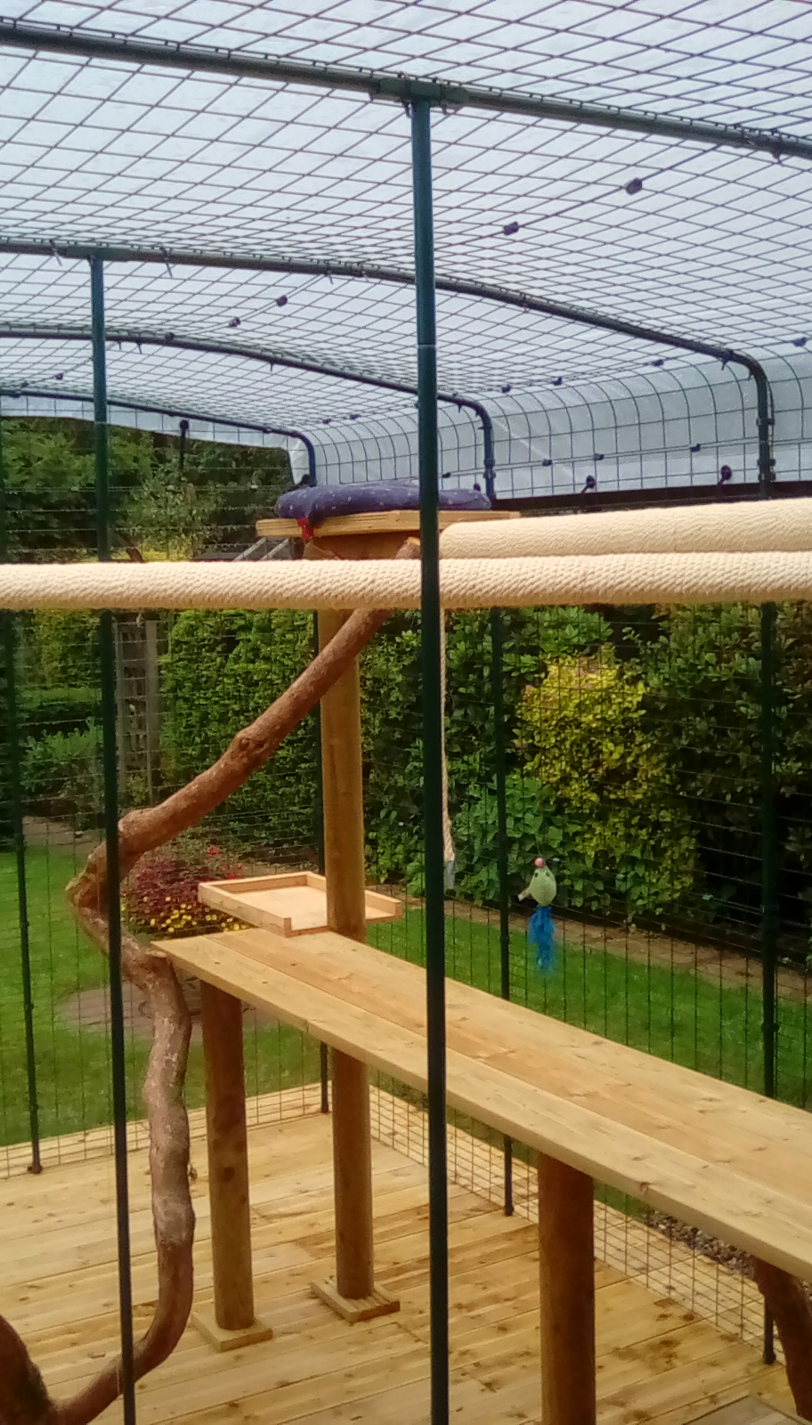 Outdoor Cat Run | Outdoor Cat Runs, Indoor Cat Houses, Luxury Cat Beds ...