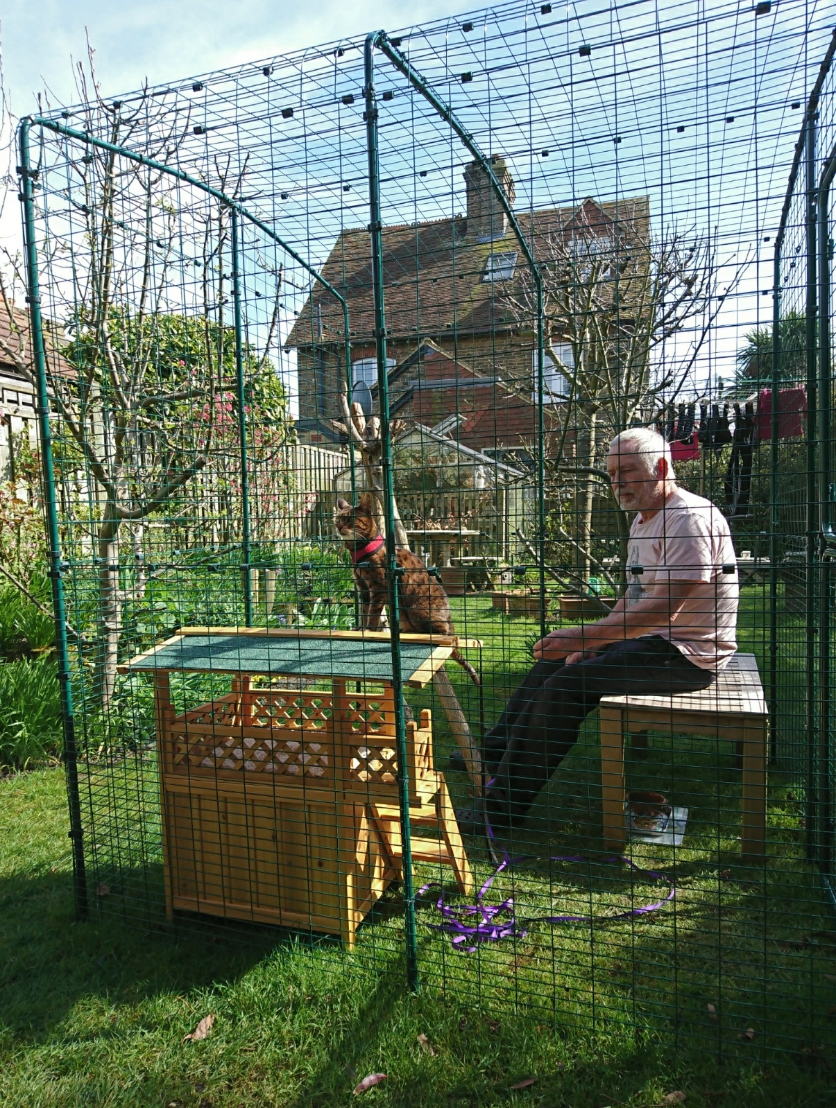 Outdoor Cat Run | Cat Products | Omlet